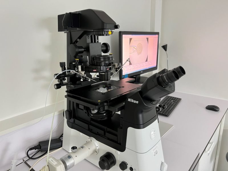 Aide Médicale à la Procréation (ou AMP) | Cht Maternité